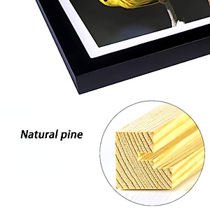 WKDP 12x16inch Frames for Diamond Painting Picture 30x40cm Diamond Art Frame 10x14inch/25x35cm with Mat or 12x16inch/30x40cm Canvas Size without Mat, Poster Frame Photo Frame Wood Frame Black (FK002)