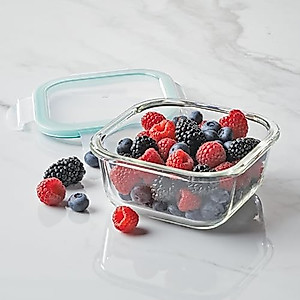 LOCK & LOCK Purely Better Glass Food Storage Container with Lid, 2.11-cup, Clear