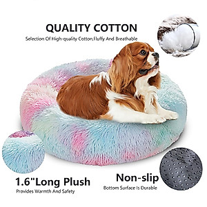 Cat Beds for Indoor Cats - Cat Bed Washable 24 inches, Dog Beds for Small Medium Dogs, Anti Anxiety Round Fluffy Plush Faux Fur Cat Bed, Thick Bottom (Rainbow, Large)