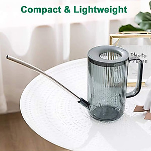 Long Spout Watering Can Indoor, Small Watering Cans for House Plants, Flowers, Succulents, 34oz (Grey)