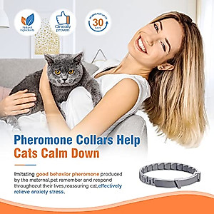 4 Packs Cat Calming Collar for Cats Pheromone Collar Efficient Relieve Reduce Anxiety Stress Pheromones Calm Relaxing Comfortable Collars Long-Lasting 30 Days Adjustable Breakaway Design Gray