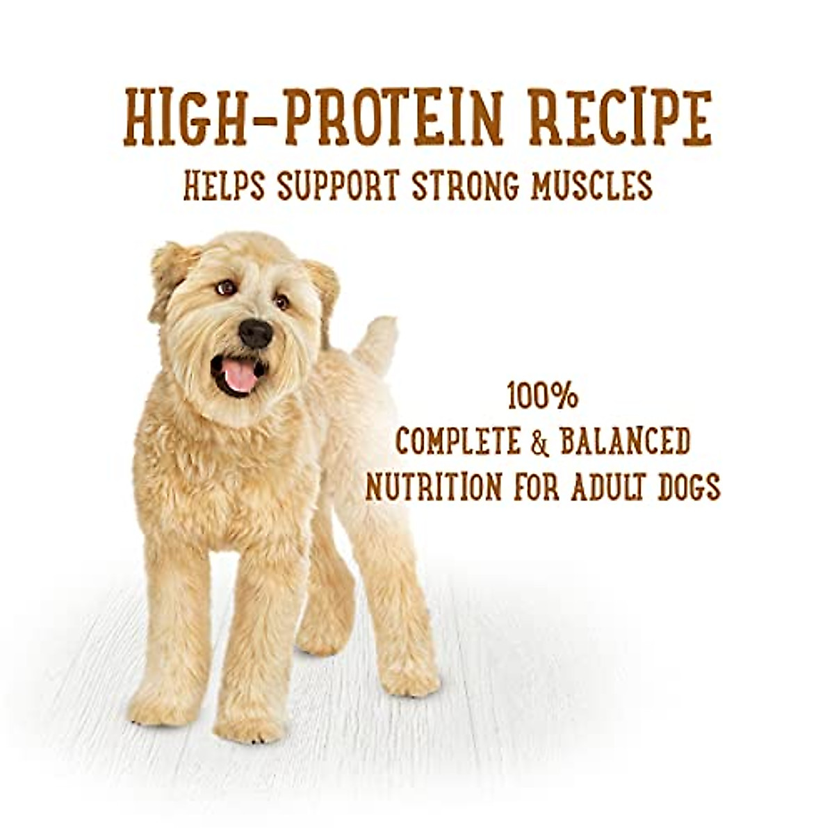Purina Beneful High Protein, Gravy Wet Dog Food, Prepared Meals Beef Stew - (8) 10 oz. Tubs
