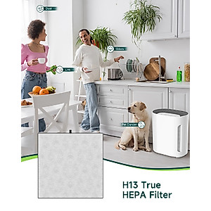 2-Pack 3-in-1 H13 True HEPA Replacement Filter Compatible with Pure Enrichment PureZone Air Purifier, 2 Filter & 2 Prefilters, Replace PEAIRFIL