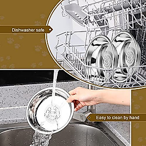 10 Pcs Shallow Cat Food Bowls 6.3 Inches Replacement Stainless Steel Cat Bowls Whisker Fatigue Relief Cat Bowls for Elevated Stand Metal Cat Dishes Basic Bowls for Cat Dishwasher Safe