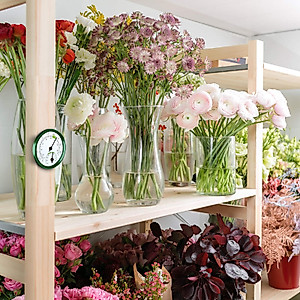 2-Pack Mini Thermometer Indoor and Humidity Gauge – Small Thermometer Hygrometer Analog Temperature Monitor for Home Wall Room Greenhouse Incubator Tank Decorative, NO Battery Needed