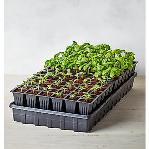 Burpee Self-Watering Seed Starter Tray, 72 Cells