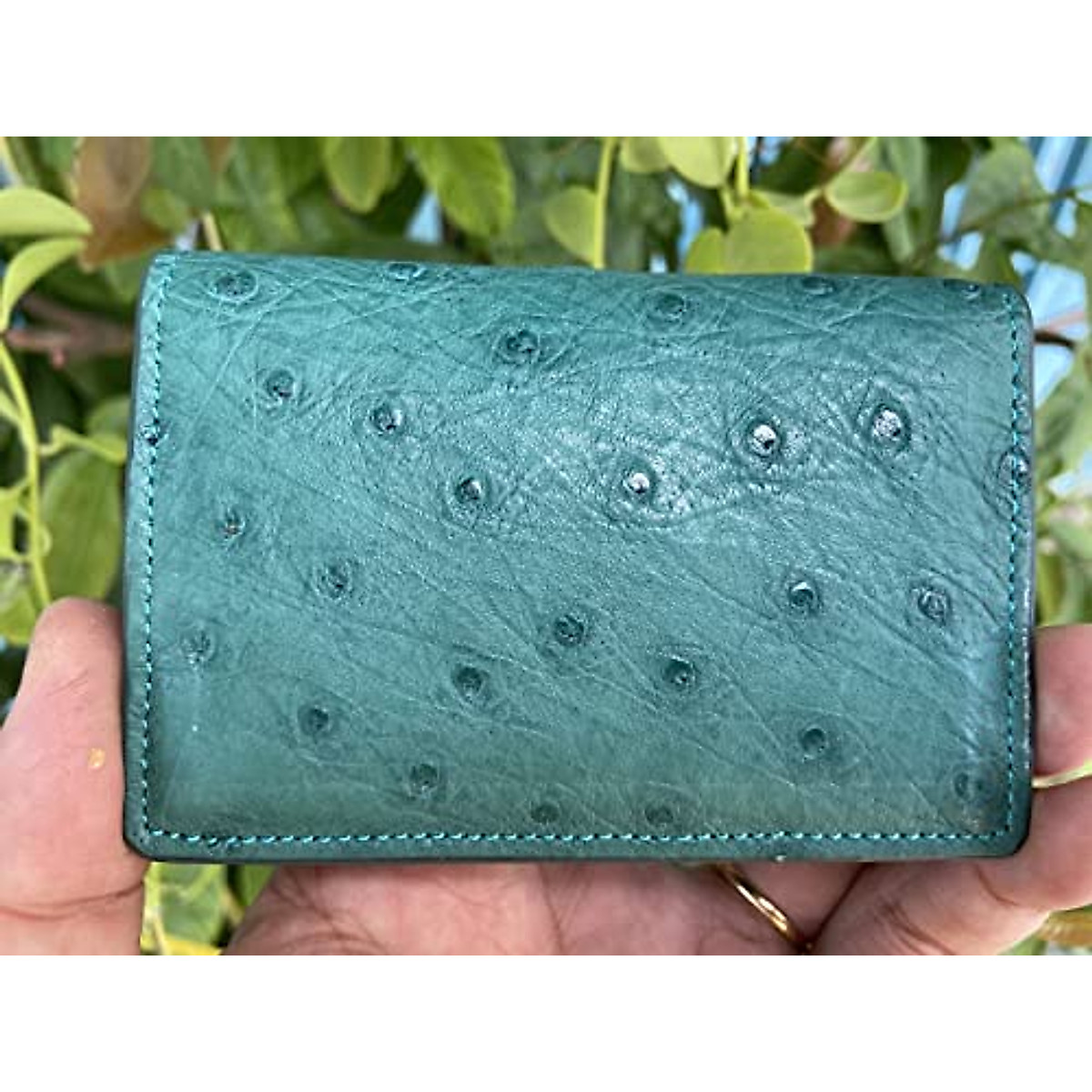 Doubleside Green Body Ostrich leather skin Credit Cardholder, leather credit cardcase, leather creditcard cover