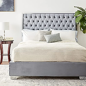 Meridian Furniture Lexi Collection Modern | Contemporary Velvet Upholstered Bed with Deep Tufting, Polished Chrome Stainless Steel Frame and Legs, Queen, Grey