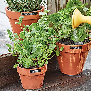 Dymo LM 160 VP Printer QWERTY