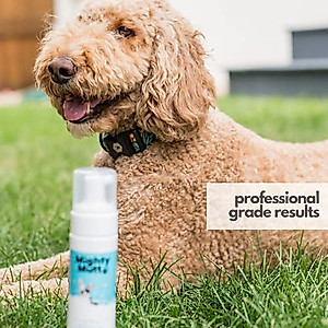 Mighty Mutt Waterless No-Rinse Dry Shampoo Foam for Dogs | Natural & Hypoallergenic Foam Dog Shampoo | Anti-Itch, Soothing and Deodorizing | 8oz