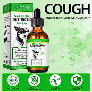 Antibiotics for Dogs, Natural Antibiotic for Dog Allergy and Itch Relief, Dog Multivitamin Pet Antibiotics Helps Support a Healthy Immune System, Dog Allergy Support (1 Pack)