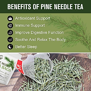 Organic Pine Needle Tea Bags - 100% Pure Natural Dried Pine Needles Herbal Tea, Effectively Antioxidant & Immune Support, Caffeine Free, 30 Tea Bags