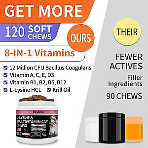 HEYISME Lysine Supplement for Cats, Cat Treats for Sneezing and Runny Nose, Cat Cold, Cat Immune Support, Eye Function, and Respiratory Health, L-Lysine cat Vitamins for Cats (120 Pills, Salmon)