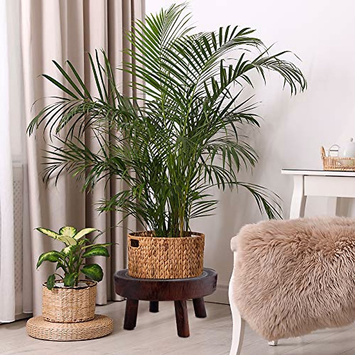 Mini Wooden Stool Display Stand Potted Plant Shelf Succulents Bonsai Rack, Wood Grain Flower Pot Holder Potted Rack Planter Supports Plant Holder Indoor Outdoor for Home, Garden, Patio Decor(Black S)