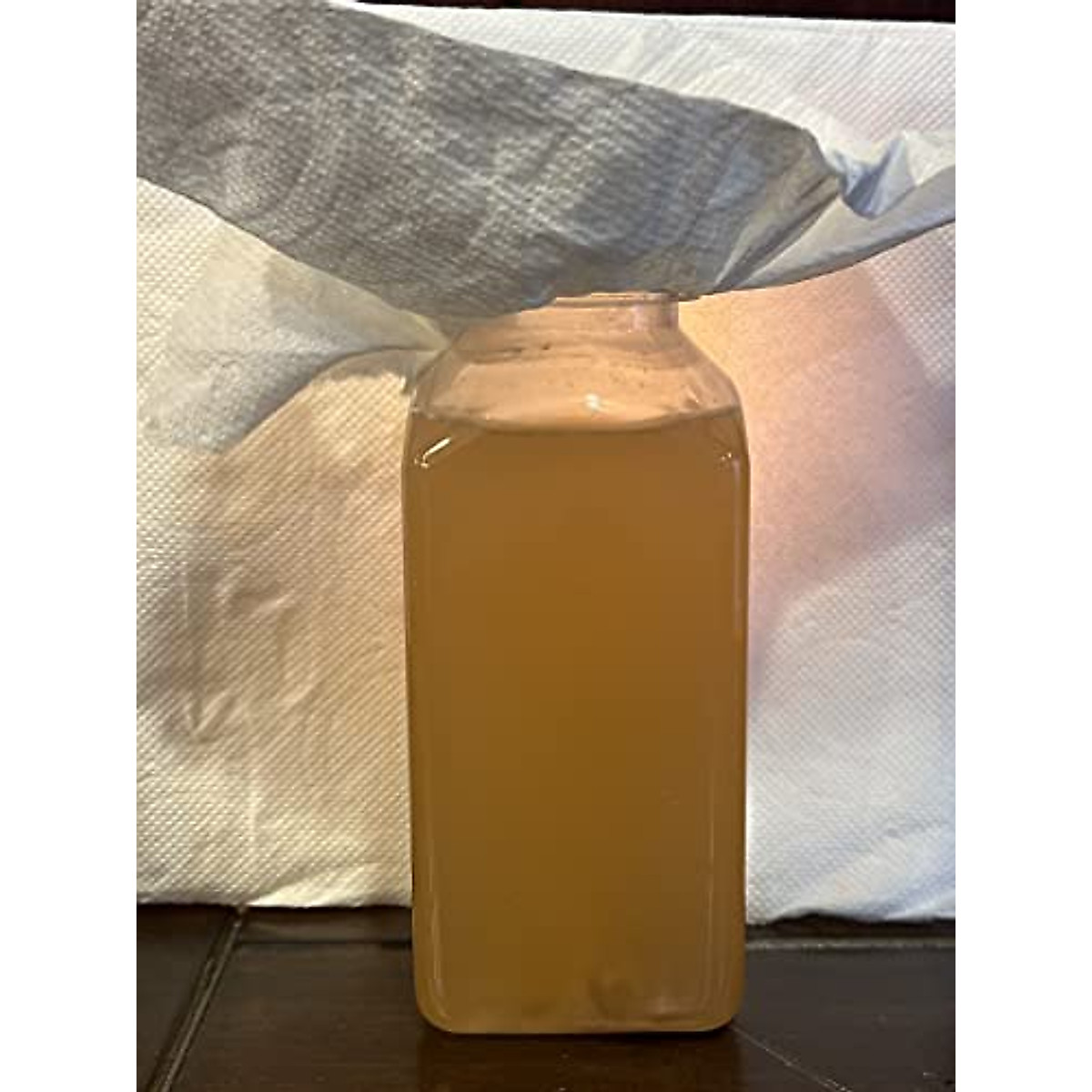 Generic Vinegar EEL Starter Culture Live Food for Newborn bettas, Rams, Killfish