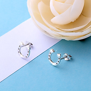 925 Sterling Silver Lucky Horseshoe Stud Earrings for Women