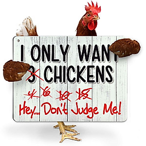 Bigtime Signs I Only Want Chickens 9" x12'' PVC Chicken Decor Sign - Christmas Chicken Yard Decorations Chicken Toys | Chicken Coop Accessories for Chicken Feeder - Chicken Gifts for Chicken Lovers