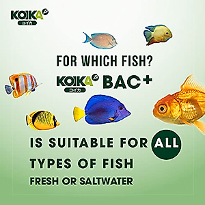 KOIKA BAC+ Aquarium Probiotics, Immunity Boosting, Disease Resistance & Improve The Digestive System (BAC+,105ml)