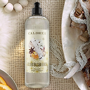 Caldrea Dish Soap, Biodegradable Dishwashing Liquid made with Soap Bark and Aloe Vera, Gilded Balsam Birch Scent, 16 oz