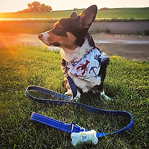 Pogi’s Dog Poop Bags - 30 Rolls (450 Doggie Poop Bags) - Leak-Proof Dog Waste Bags - Scented, Ultra Thick, Extra Large Poop Bags for Dogs