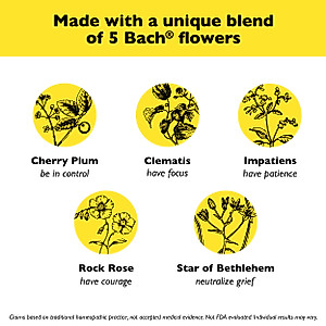 Bach RESCUE Pastilles Variety Pack Natural Stress Relief Lozenges, Homeopathic Flower Essence, Vegetarian, Gluten and Sugar-Free, 4-Pack