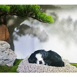 KKUSSOLL Realistic Dog Plush Small Sleeping Doggie Lying Border Collie German Shepherd Puppy Baby pup Ornaments can Absorb poisonlus Elements in air