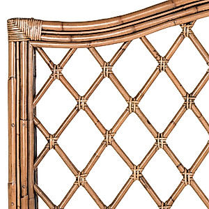 SAFAVIEH Home Collection Gabriella Brown & Multi Wicker Headboard, Full