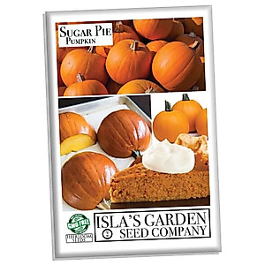 "Sugar Pie" Pumpkin Seeds for Planting, 20+ Heirloom Seeds Per Packet, (Isla's Garden Seeds), Non GMO Seeds, Non GMO Seeds, Botanical Name: Cucurbita Pepo, This Variety is for Making Pumpkin Pie!