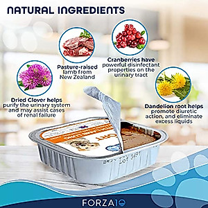 Forza10 Wet Dog Food Kidney RENAL ACTIWET, 3.5oz, Kidney Dog Food Wet, Renal Dog Food Lamb Flavor, Dog Renal Support Canned Dog Food (32 Pack)
