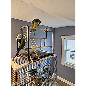 Bird Playground, Playstand for Small to Large Birds with Collapsible Metal Frame, Heavy Duty Quick-Install No Tool Request, 4 Standing Perch, 2 ladders and 2 Bird Cups
