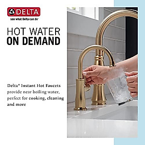 Delta Faucet Traditional Instant Hot Water Dispenser
