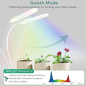 Diivoo Grow Light for Indoor Plants, Full Spectrum Dual Head Grow Lamp with Clips, 10 Level Dimmable Brightness & 4 Automatic Timer, LED Plant Lights with 360 Spin Gooseneck for Potted Flowers, Plant