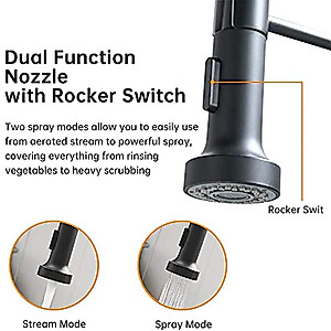 Modern Pull-Out Kitchen Faucet Pull-Down Sprayer Kitchen Sink Faucet All Solid Brass Single Handle (Matte Black)