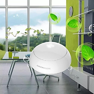 Portable ionizer air purifier for car，smokers car air purifier and freshener，car air purifier with hepa filter