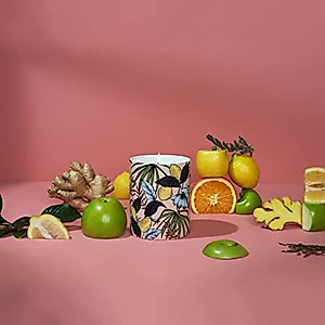 L'or de Seraphine Mansour Marrakech Scented Candle | Fragrance No. 25 | Fruity & Fresh Notes | 80 Hour Burn Time | Luxury Scented Candle for Home & Leisure | 17 oz