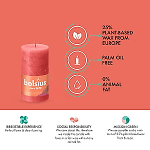 BOLSIUS 4 Pack Blossom Pink Rustic Pillar Candles - 2.75 X 5 Inches - Premium European Quality - includes Natural Plant-Based Wax - Unscented Dripless Smokeless 60 Hour Party Décor Candles