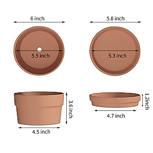 Fcacti 4 Pack 6 Inch Terracotta Shallow Succulent Pot - Large Terra Cotta Clay Pots with Saucer, Round Shallow Terra-Cotta Bonsai Pot with Drainage Hole for Indoor/Outdoor Plants