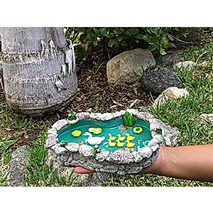 GlitZGlam Duck Pond -Mother and Ducklings! A Miniature Duck Pond for a Miniature Fairy Garden and Miniature Garden Accessories