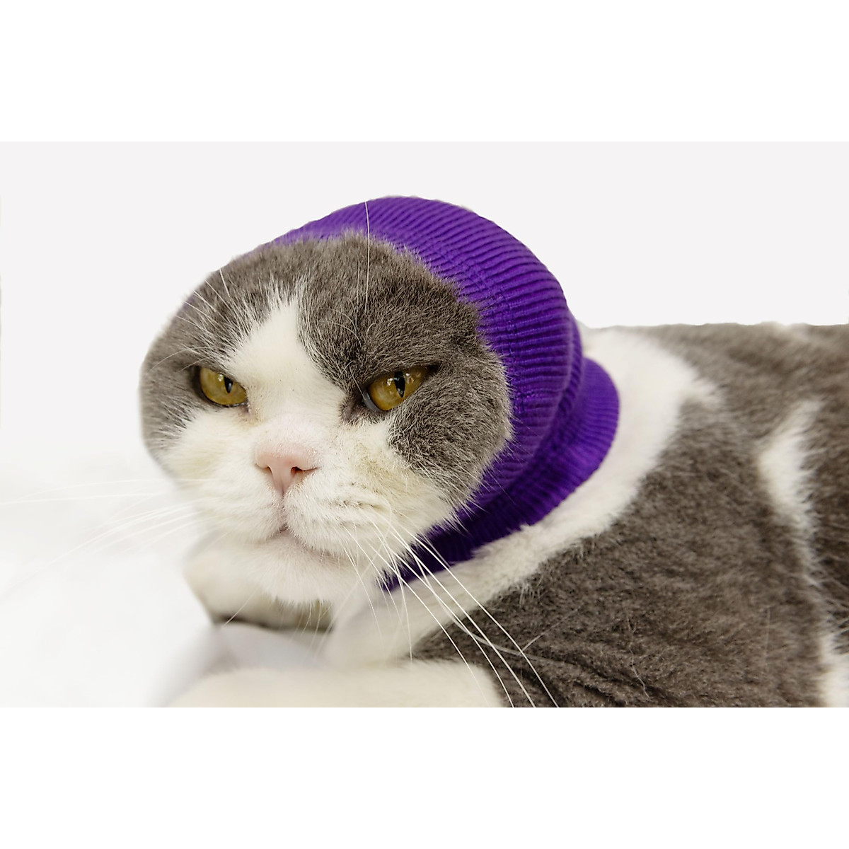 Cat No Flap Ear Wrap DDFS Wrap Snood Pet Noise Cancelling Headphones for Dogs Ear Wrap for Cats Small Purple S