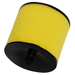 HIFROM ATV Air Filter Element Cleaner Compatible with Honda Foreman 400 450 TRX400FW TRX450S TRX450ES TRX450FE TRX450FM Replace 17254-HC5-900 (Pack of 1)
