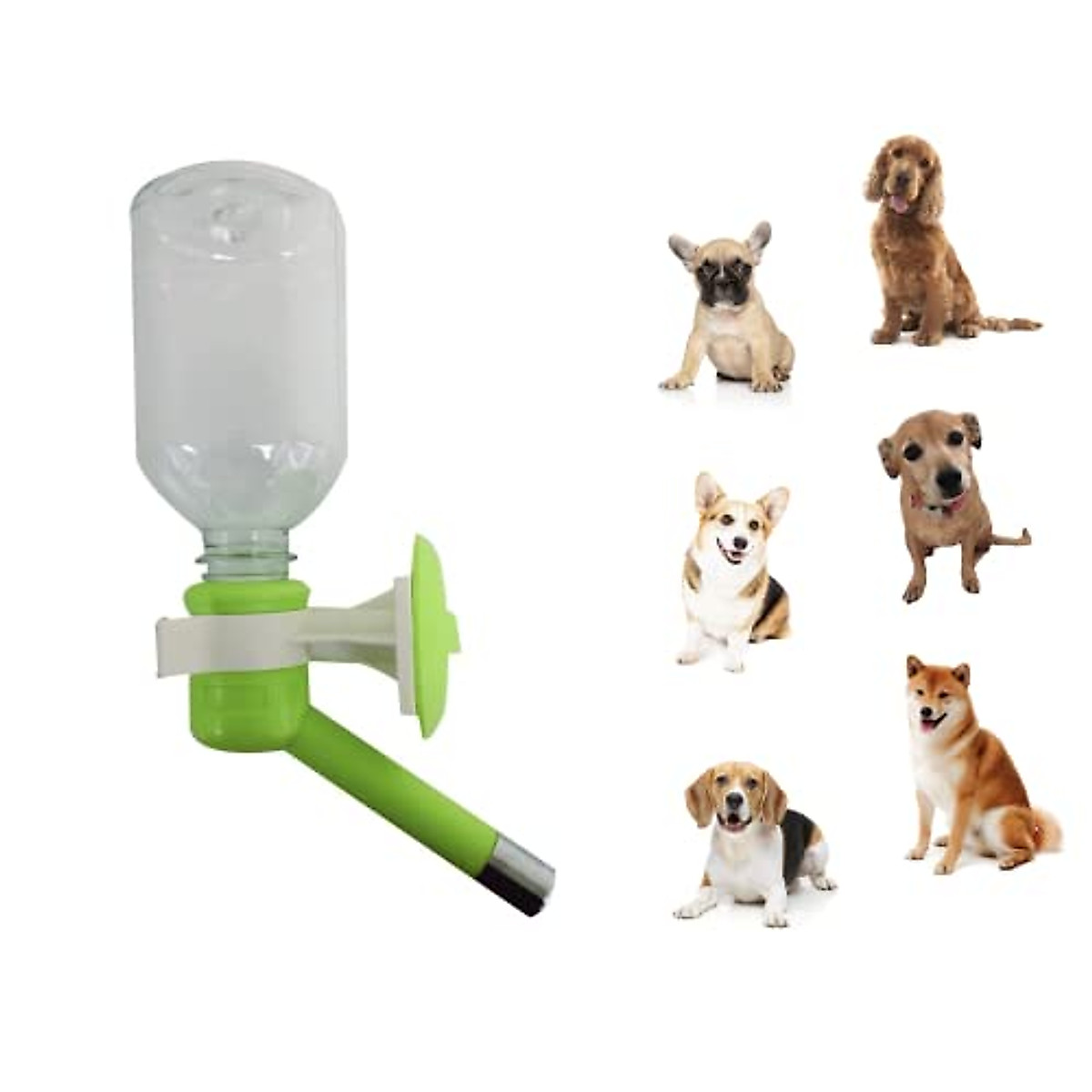 Choco Nose Patented No-Drip Dog Water Bottle/Feeder for Dogs/Cats and Other Small-Medium Sized Animals - for Cages, Crates or Wall Mount. 10.2 Oz. Mess Free Leak-Proof Nozzle 16mm. Apple Green (C590)