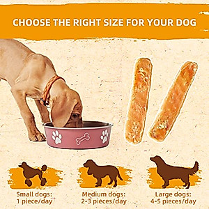 Jungle Calling Dog Treats Chicken Jerky Training Treats, Slow Roasted Snacks for Medium and Large Dogs Chewy Treats 10.6Ounce (Chicken Fillet)