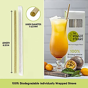 100% Biodegradable Eco-Friendly Wrapped Straws, 100ct – 8.25"H, Made of Vegetable Fibers