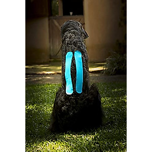 VetkinTape Displaybox | Equine & Canine Kinesiology Tape | Kinesiology Tape for Veterinary Purposes | 10 Uncut Rolls 2.4" X 16' | Available Colors: Black, Blue, Red, Orange, Lime & Pink (Lime)