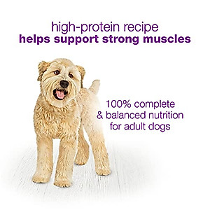 Purina Beneful High Protein, Gravy Wet Dog Food Variety Pack, Chopped Blends - (12) 10 oz. Tubs