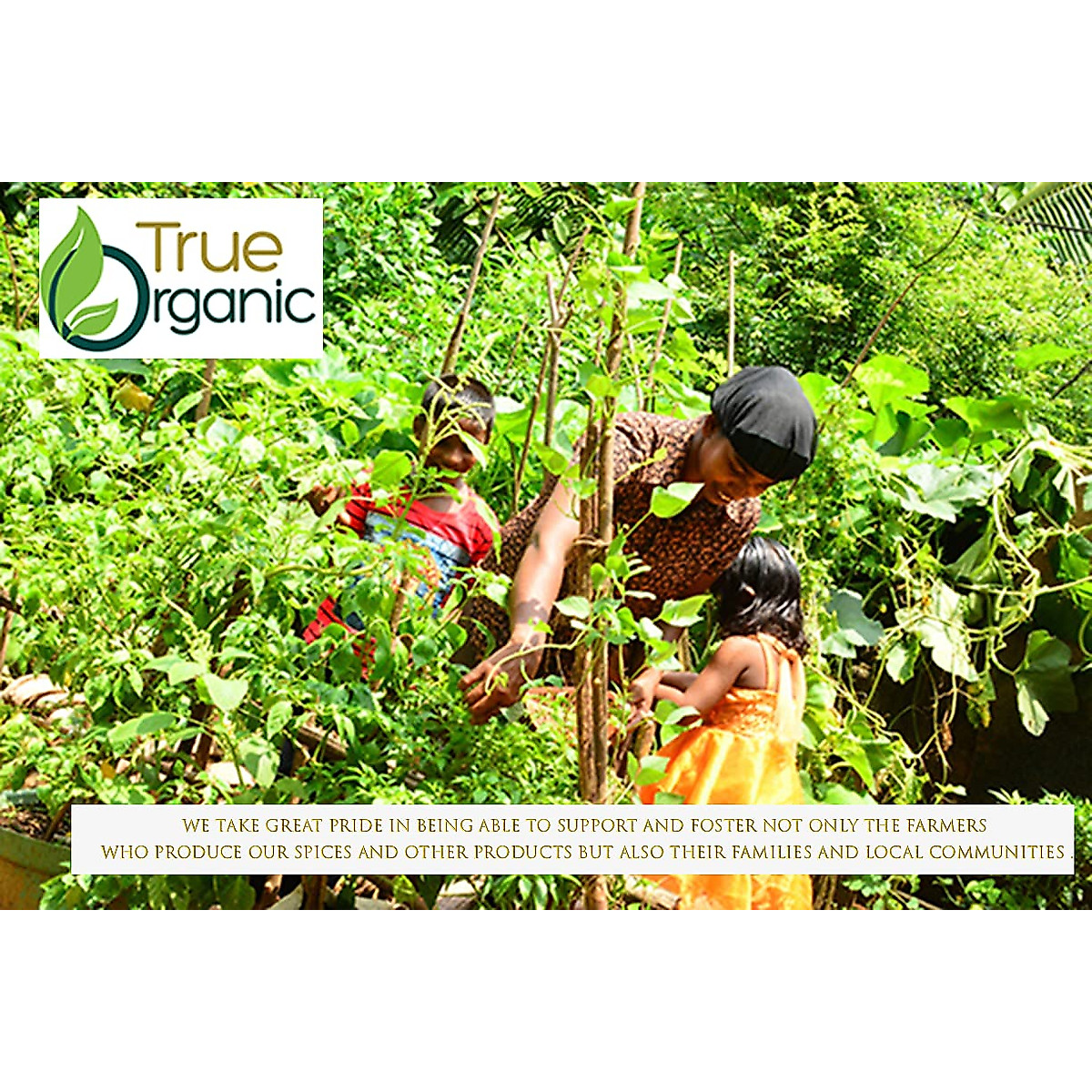 True Organic Ceylon Cloves Whole, 16 ounces Bulk Bag, USDA Organic & Kosher Certified, Non-GMO, Fresh Organic Cloves, Pure Ceylon Premium Quality