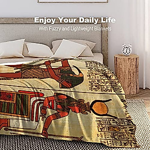 Fleece Throw Blanket for Couch Sofa Bed,Ancient Egyptian Pharaoh Hieroglyphics Vintage Mural Egypt Soft Toddler Blanket,Premium Anti-Static Throw for Home Office Travel Bedroom Living Room, 40"x50"