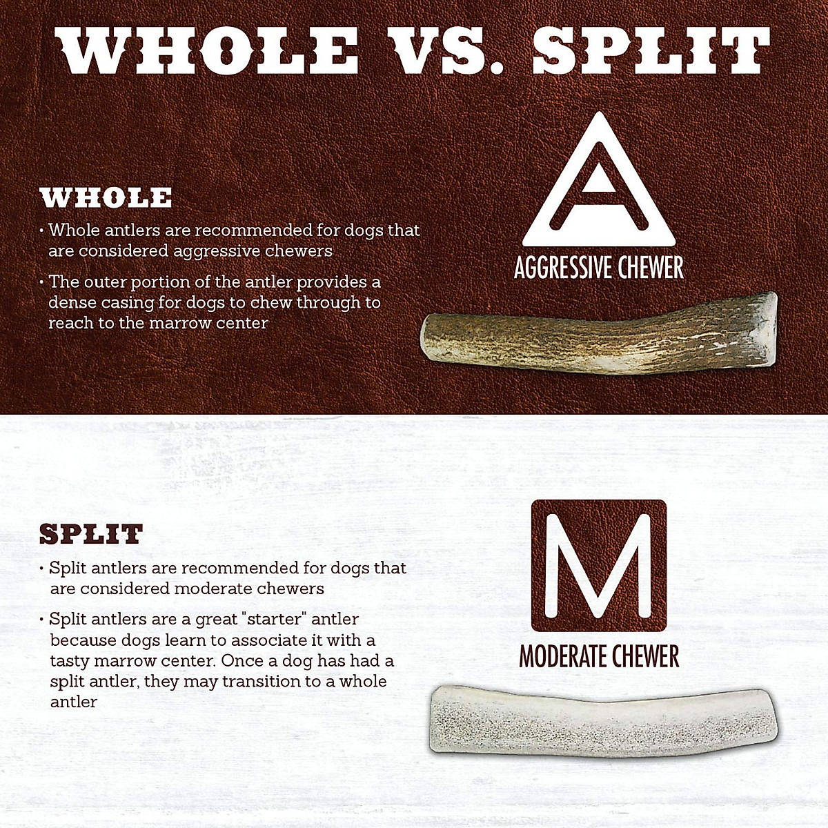 Prairie Dog Antlers | North American Split Elk Antler | SMALL | Naturally Shed | Hand Harvested | Nutrient Rich | 4-5.5 inches long