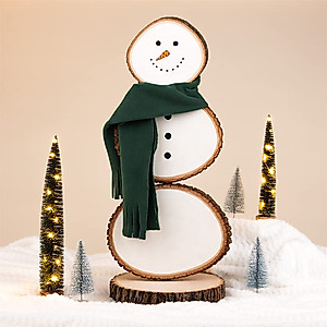 Walnut Hollow Medium Basswood Rustic Round Wood Slices with Live Edge Bark, Bulk Value Pack, 12-Pack