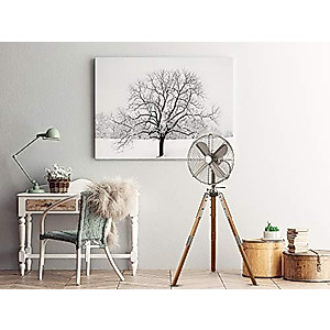 Star Fans Tripod, 16", Satin Nickel